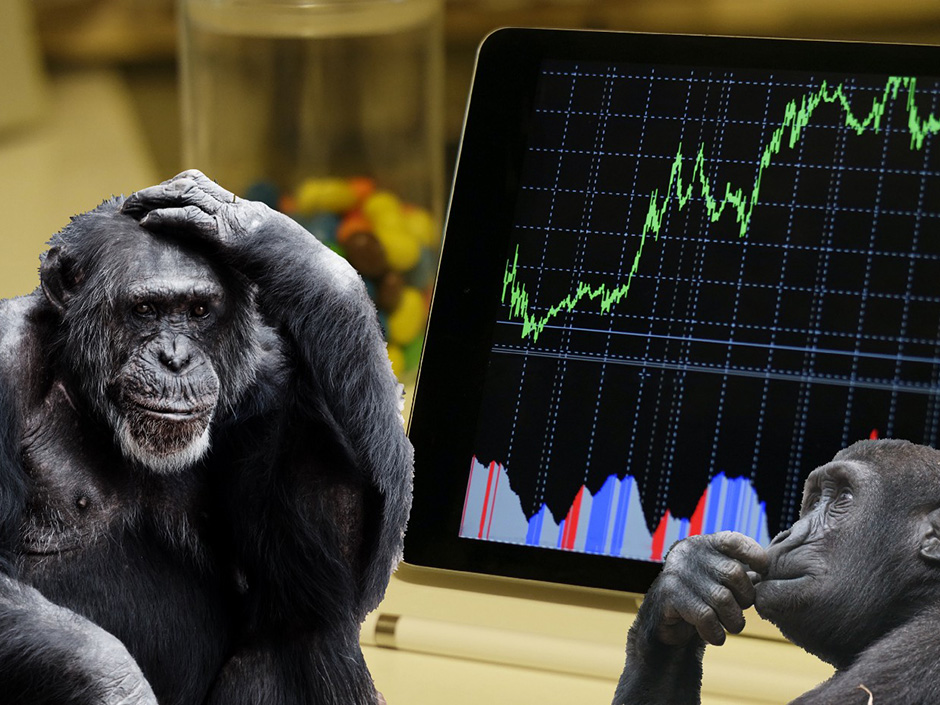 Trading is not stressful, losing money is stressful | Evil Speculator